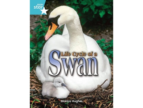 Livro rigby star independent year 2 turquoise non fiction life cycle of ...
