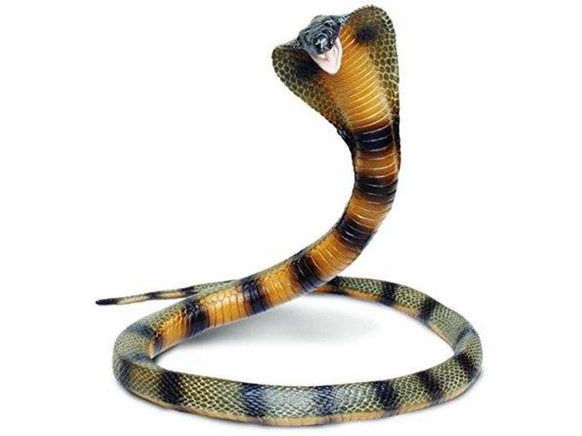 Figura de Brincar SAFARI LTD. Cobra | Worten.pt