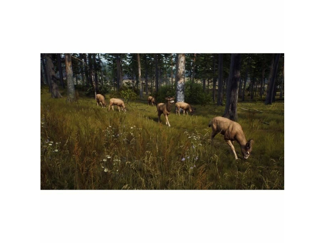 Jogo Eletrónico Playstation 5 THQ NORDIC Way Of The Hunter: Hunting Season One | Worten.pt