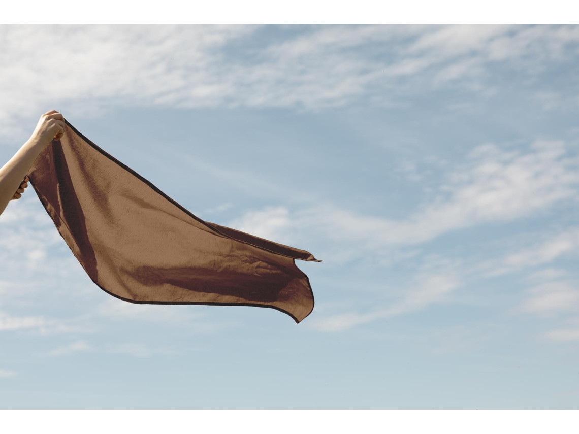 Toalha de Mesa RNT BY REALLY NICE THINGS Pure Menorca (Castanho - Linho ...