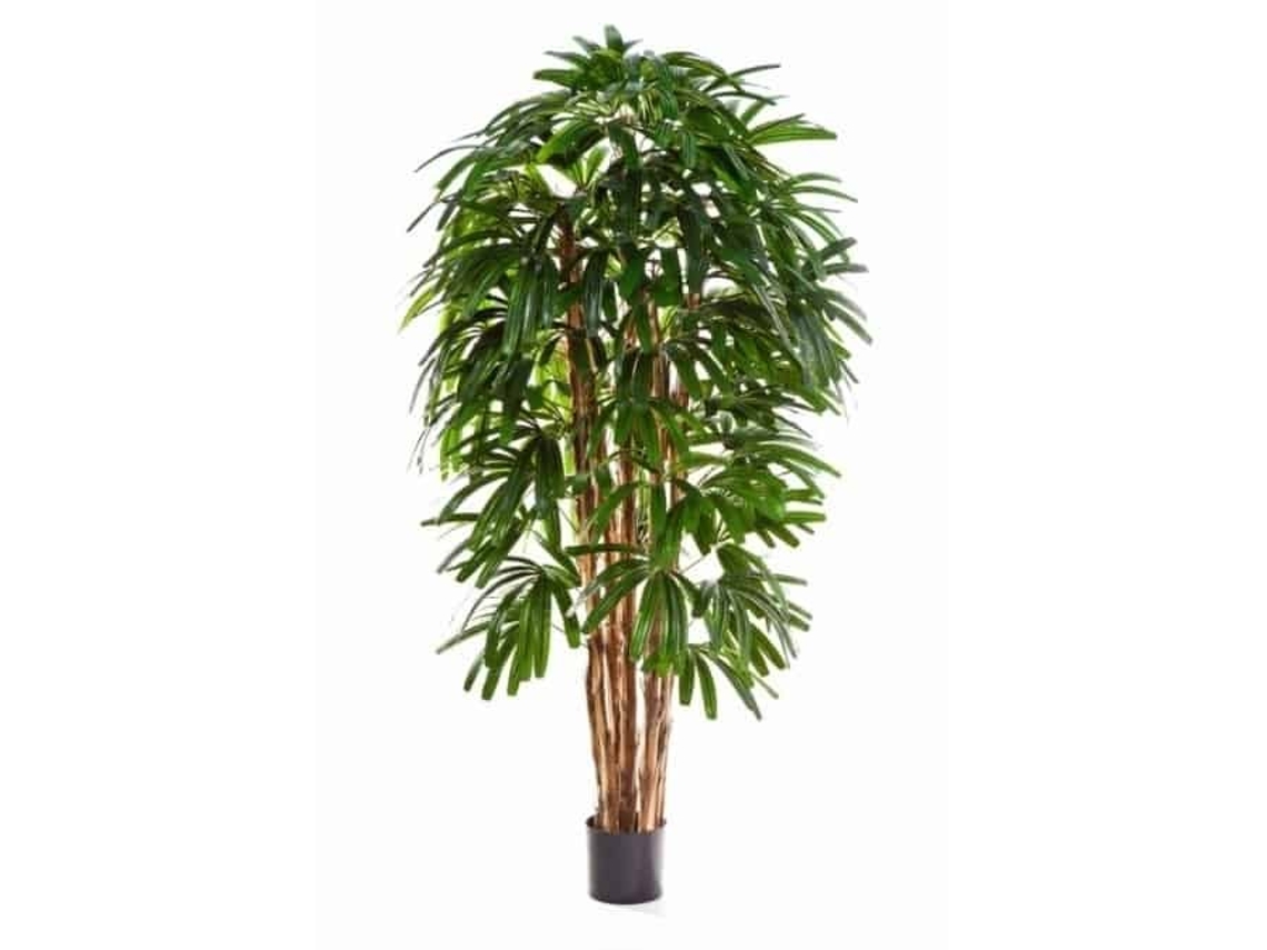 Planta Artificial Palmeira Raphis | Worten.pt Planta Artificial Palmeira Raphis | Worten.pt