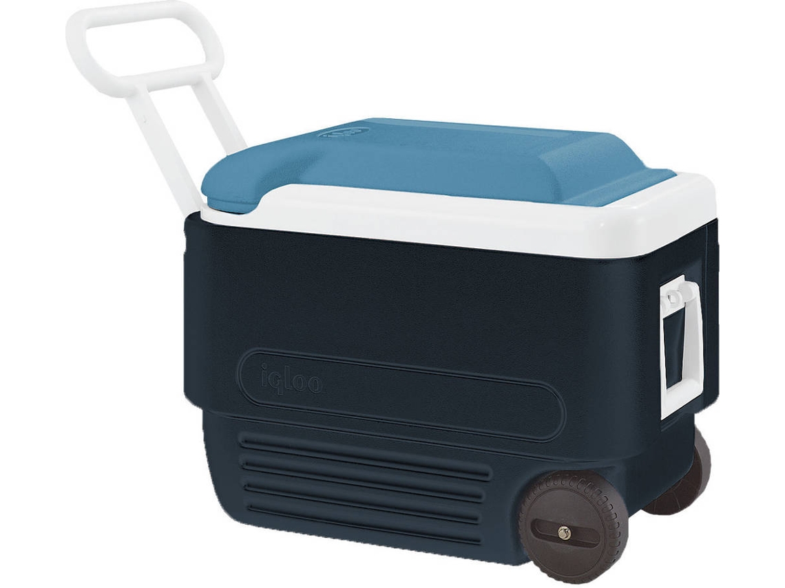 Geleira IGLOO Maxcold 40 | Worten.pt