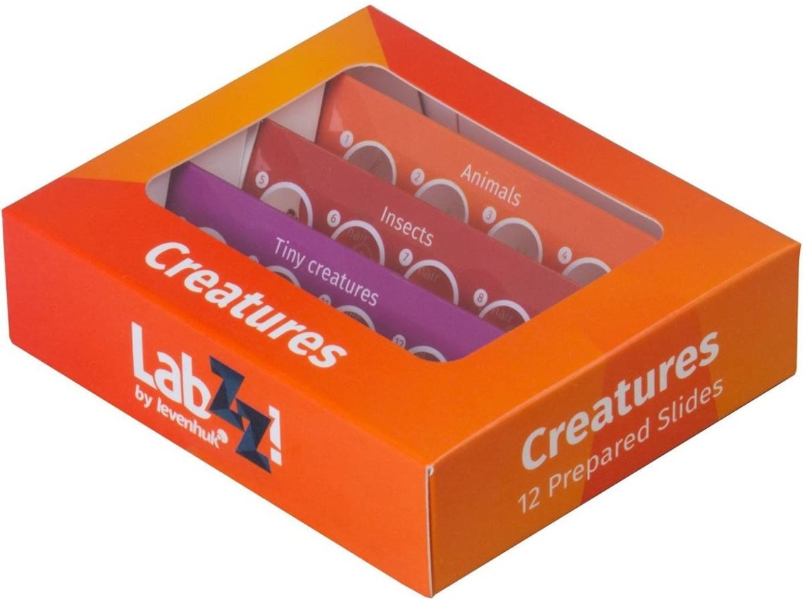 Conjunto de Lamelas Preparadas para Microscópio LEVENHUK LabZZ C12 ...
