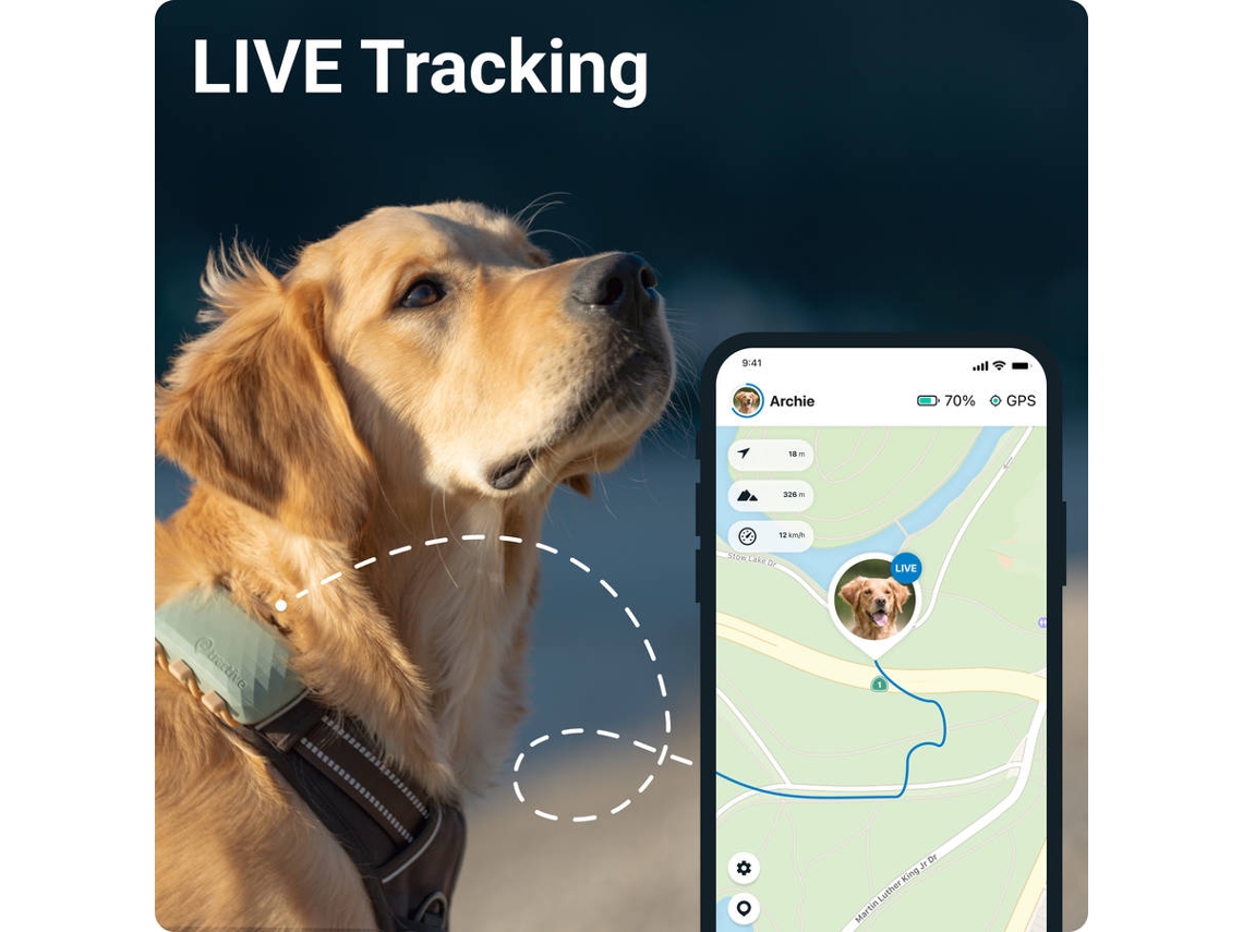 Localizador GPS para Cães TRACTIVE XL (Verde) | Worten.pt