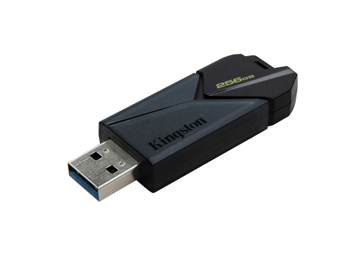 Pen USB KINGSTON Dtxon (256 GB) | Worten.pt