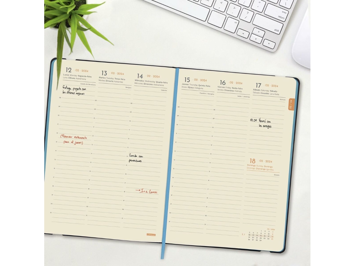 Agenda FINOCAM Flexi 2024 Preto A5 14,8x21 cm | Worten.pt