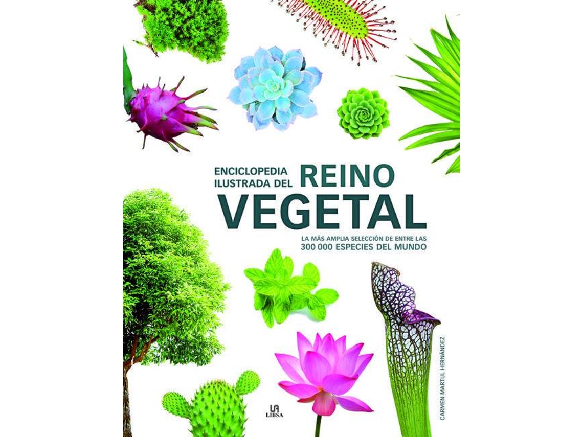 Livro Enciclopedia Ilustrada Del Reino Vegetal de Carmen Martul ...