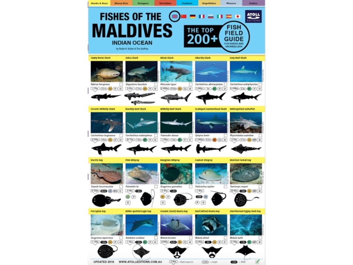 Livro maldives fish field guide "top 200+" de tim godfrey,rudie kuiter ...