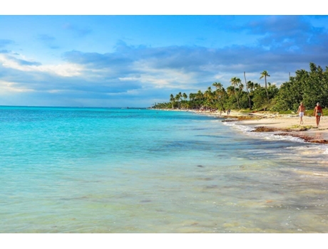 Painel de Parede OEDIM Praia e Palmeiras (Multicolor - 150x100cm ...