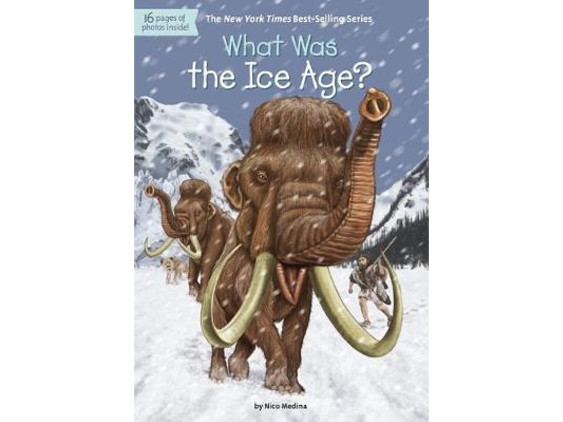 Livro what was the ice age? de nico medina,david groff (inglês) | Worten.pt