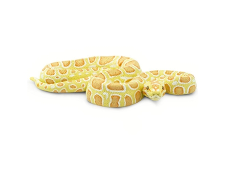 Safari Ltd Albino Burmese Python | Worten.pt