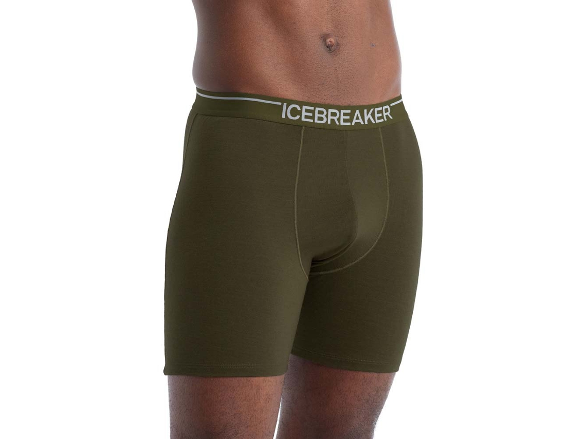 Boxer ICEBREAKER Anatomica long | Worten.pt