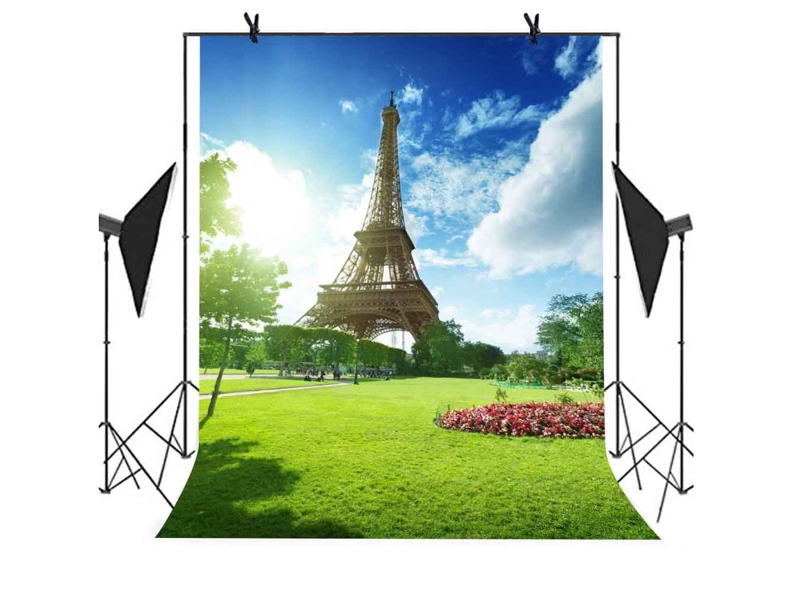 Fundo Fotográfico ECZJNT 150x220 cm Torre Eiffel Parque Relva Céu Azul ...