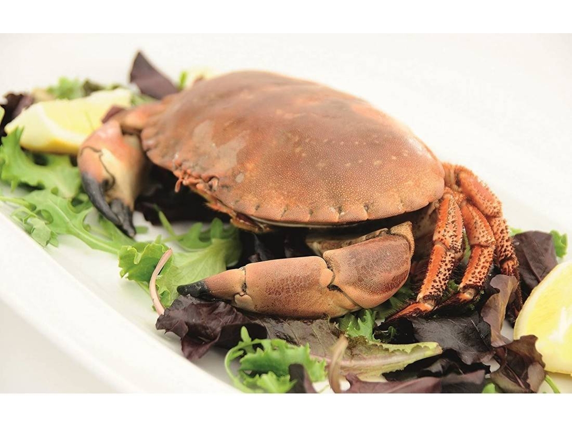 Conjunto de 8 Peças para Marisco Kitchen Craft | Worten.pt