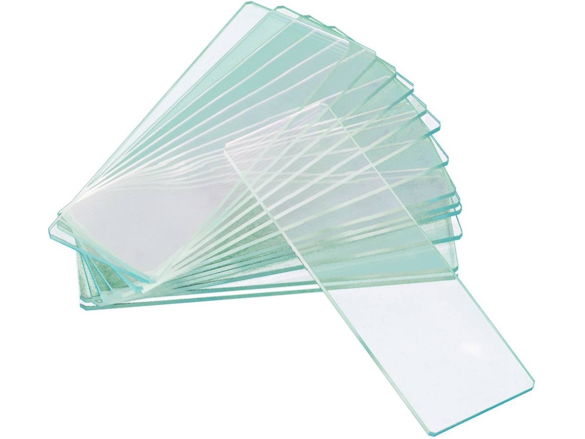 Conjunto de 50 Lamelas para Microscópio LEVENHUK G50 2H | Worten.pt